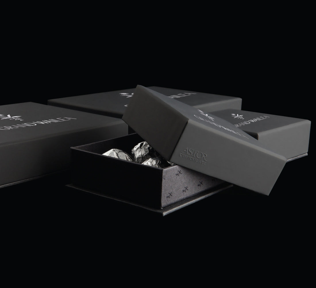 About Astor – Astor Chocolate | Hospitality